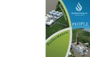 PetroQuest Energy - AnnualReports.com